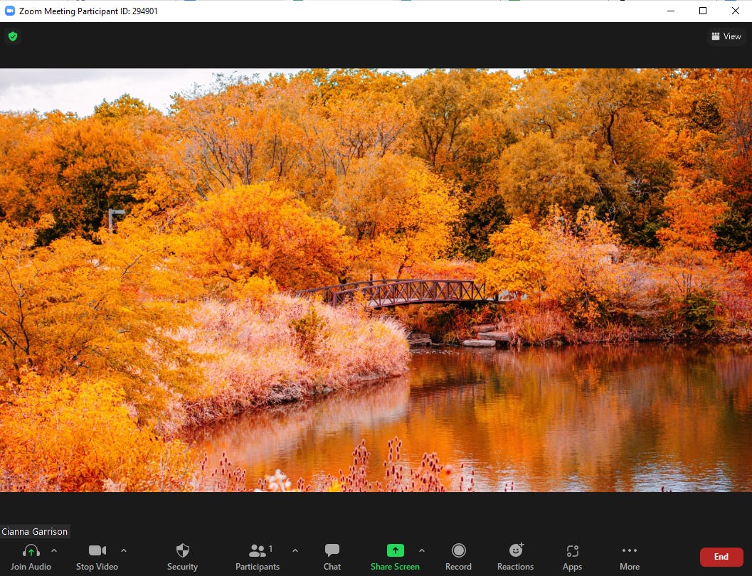 25 Fall Zoom Backgrounds For Autumnal AF Video Calls