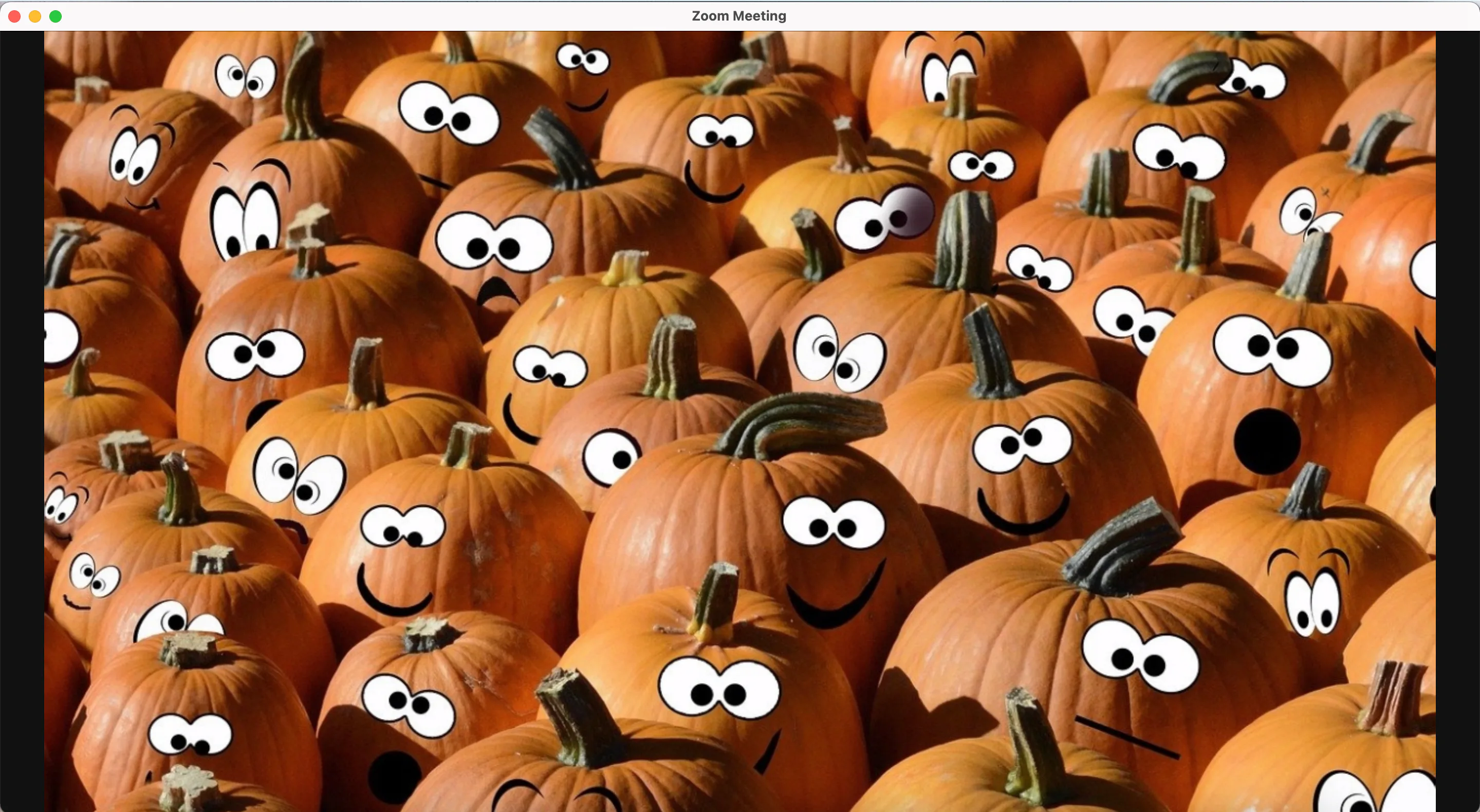 19 Thanksgiving Zoom Backgrounds To Spice Up Your Celebration