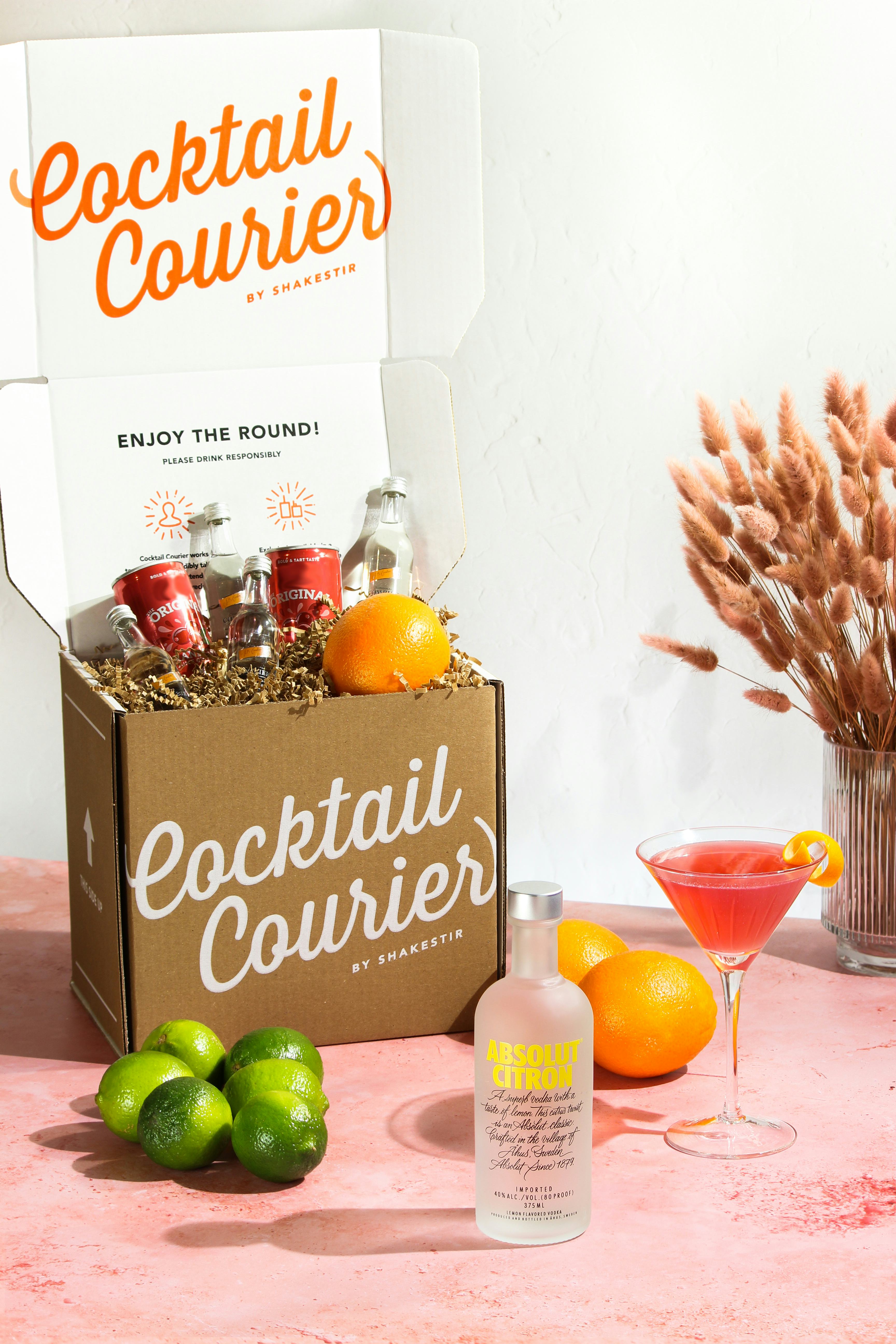 Where To Buy Cocktail Courier Absolut Cosmopolitan Cocktail Kit For ...