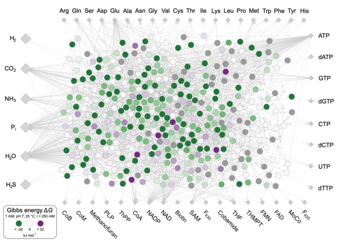 How did life arise? New study offers fundamental evidence for a ...