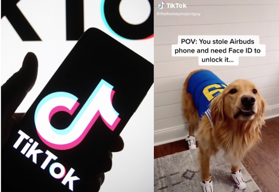 13 Best "You Stole A Celebrity’s Phone" Face ID Memes On TikTok