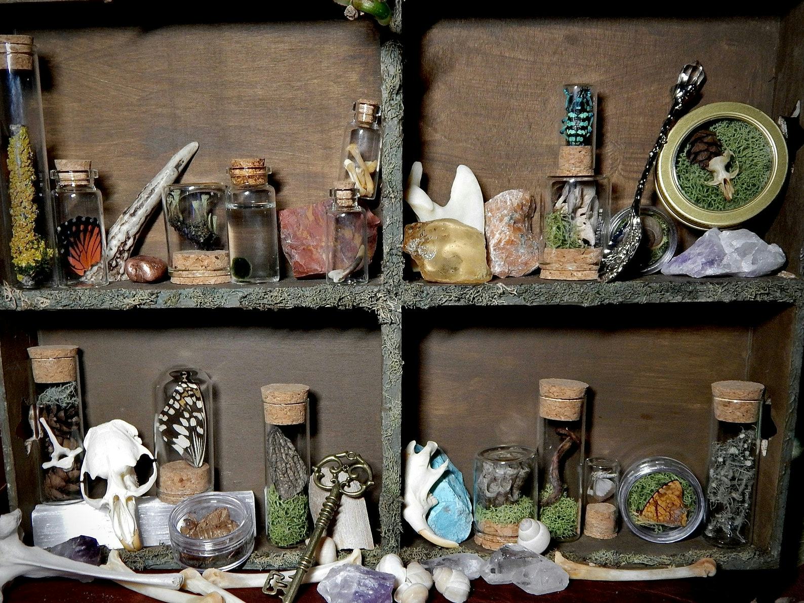 Dark Cottagecore For Home Decor That’ll Reflect Your Winter Aesthetic