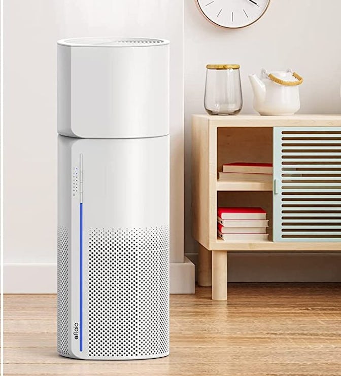 The 5 best office humidifiers