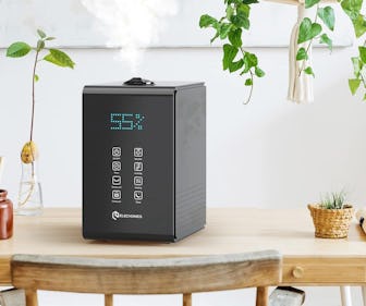 The 5 best office humidifiers