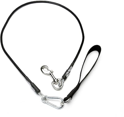 The 6 Best Chew-Proof Dog Leashes In 2022