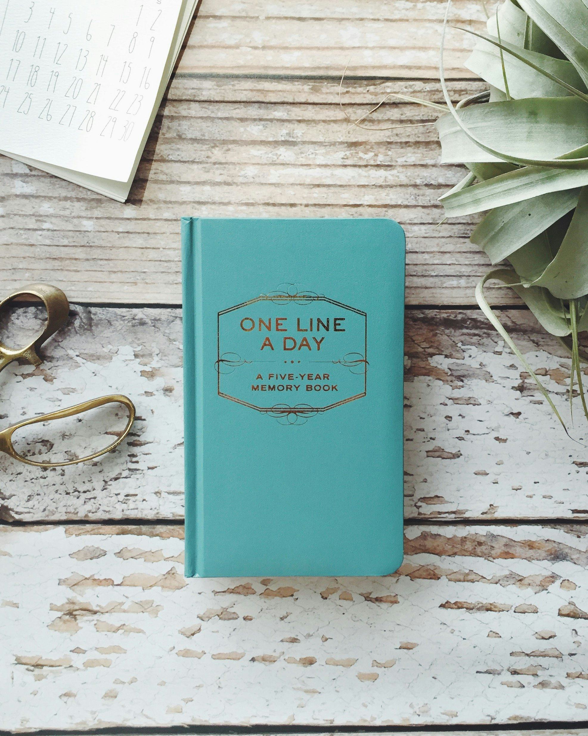 The 12 Best Diaries