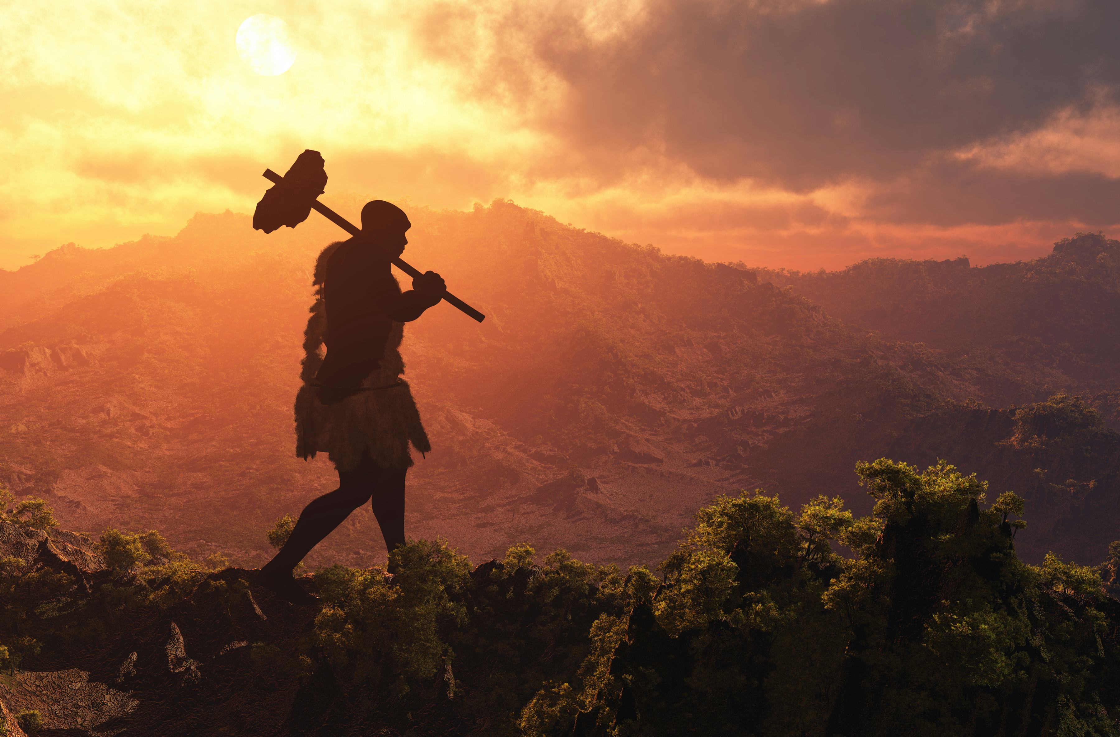 A bizarre technique reveals new insight into the evolution of ancient ...