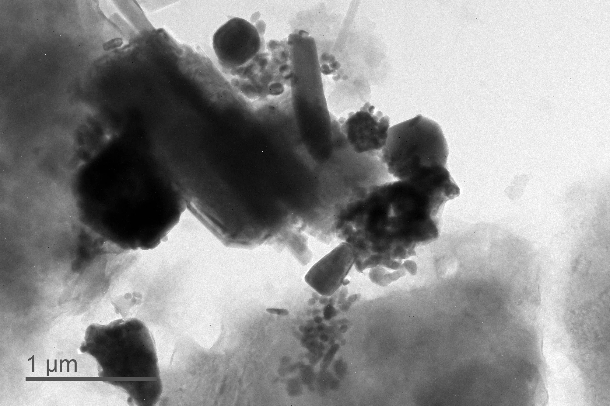 Massive magnetic fossils are a climate-crisis time machine