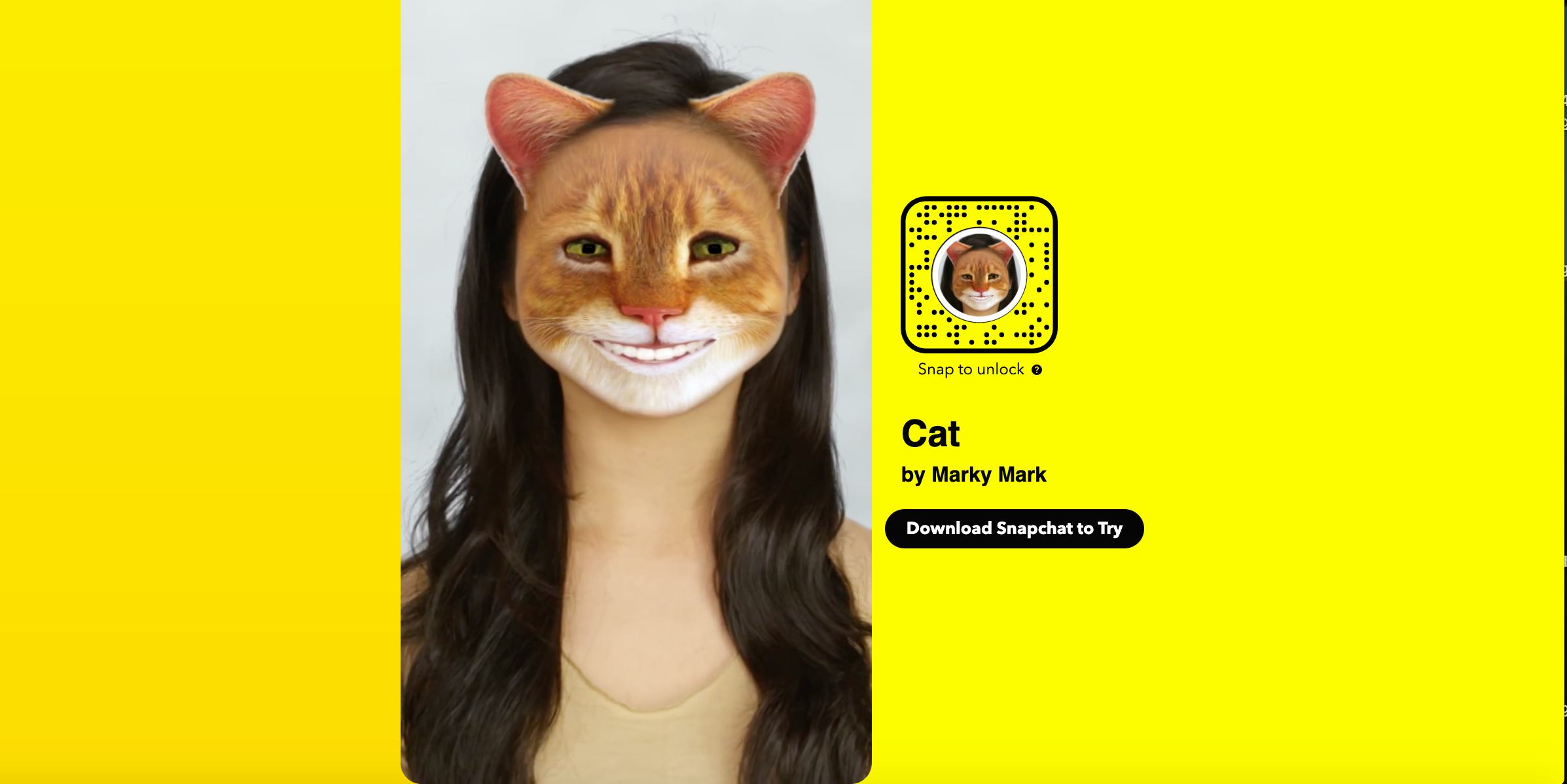 Why Don't I Have A Cat Face Filter On Zoom? There's A Simple Fix