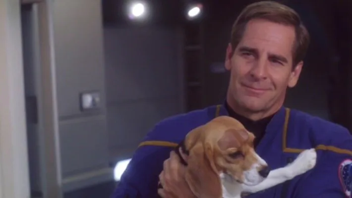 'Star Trek: Strange New Worlds' rumor reveals the return of a Starfleet ...