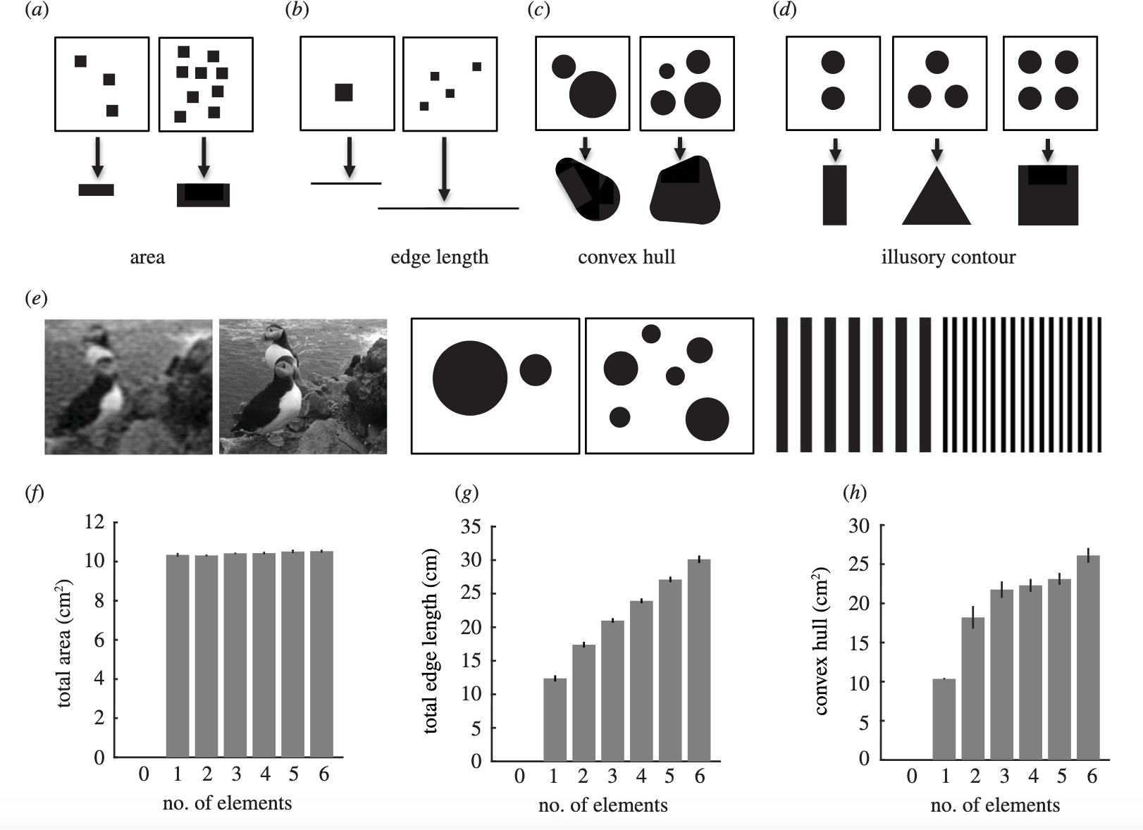 Honeybees use 1 clever trick to solve numerical problems