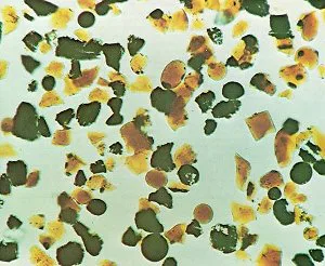 50-year-old lunar volcanic glass could reveal clues to how the Moon formed