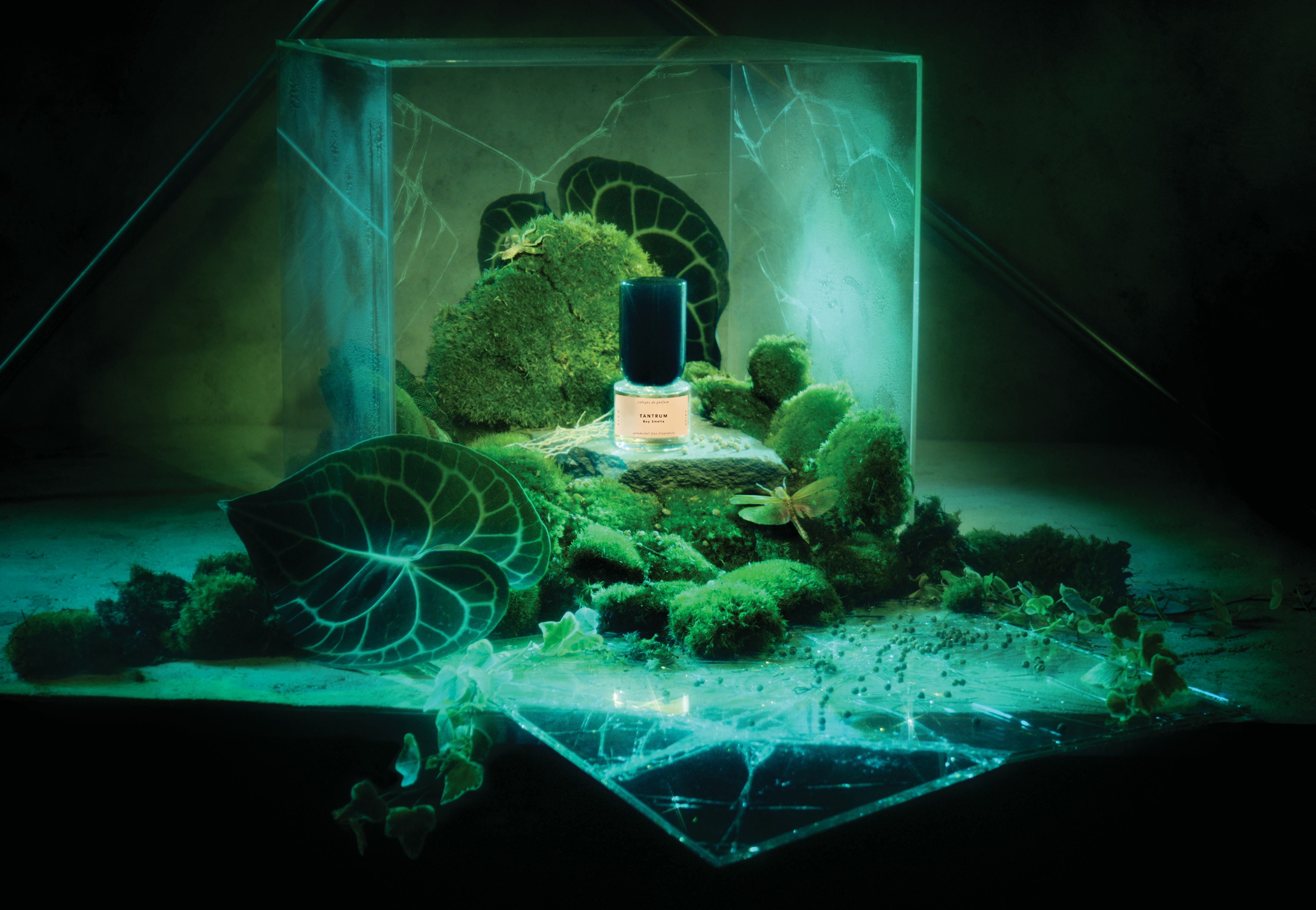 Boy Smells' First Fragrance Collection Is Here