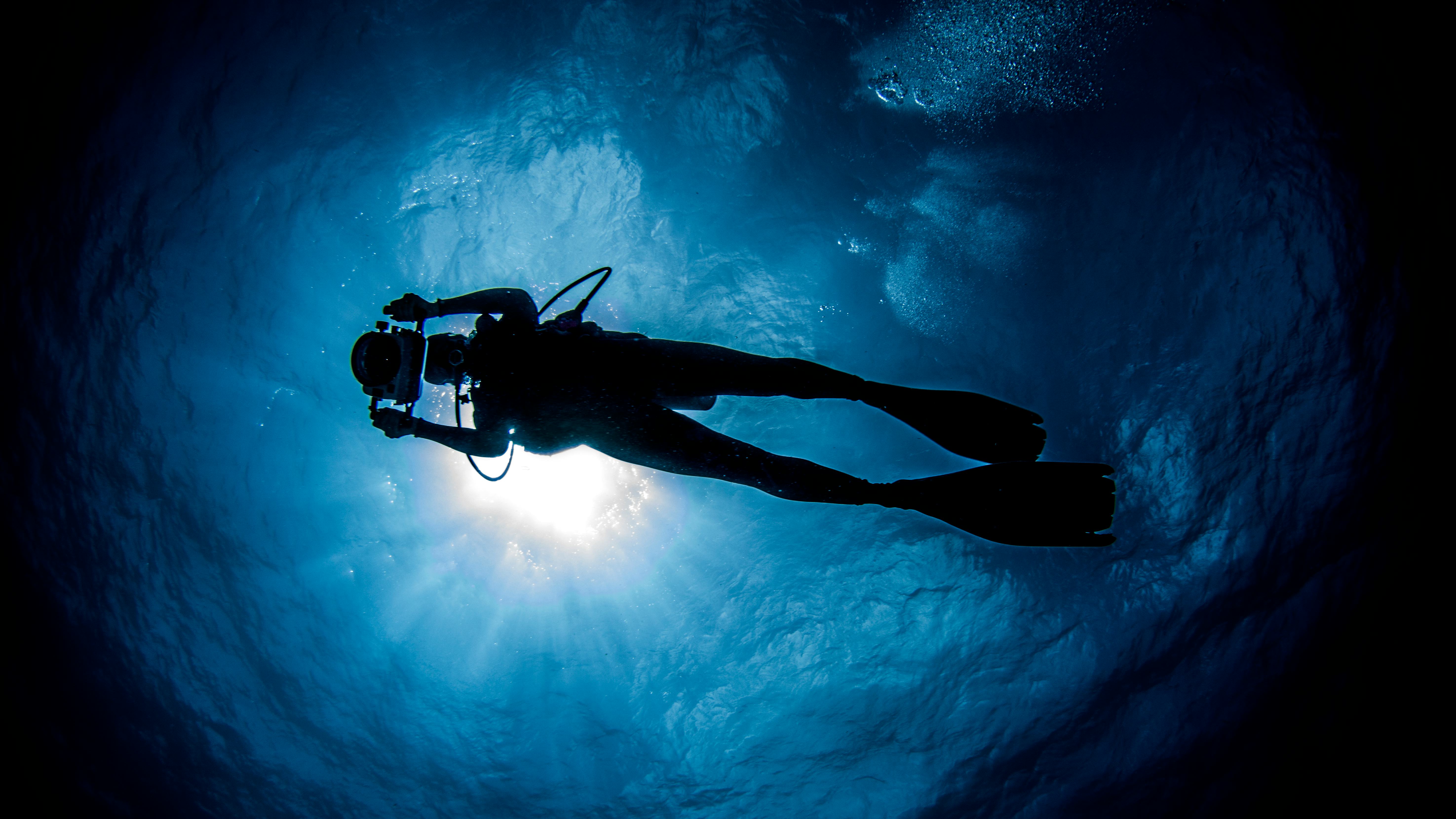 5 Netflix nature documentaries that will get you through winter