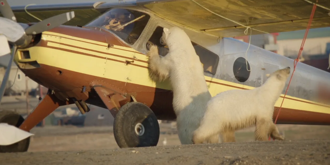 28 Best Animal Shows For Kids To Stream Right Now