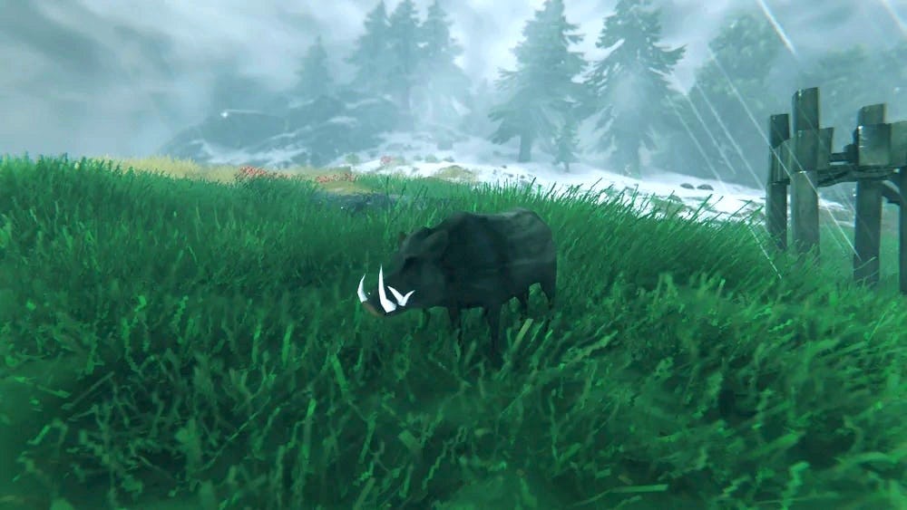 'Valheim': How to tame a boar in 4 simple steps