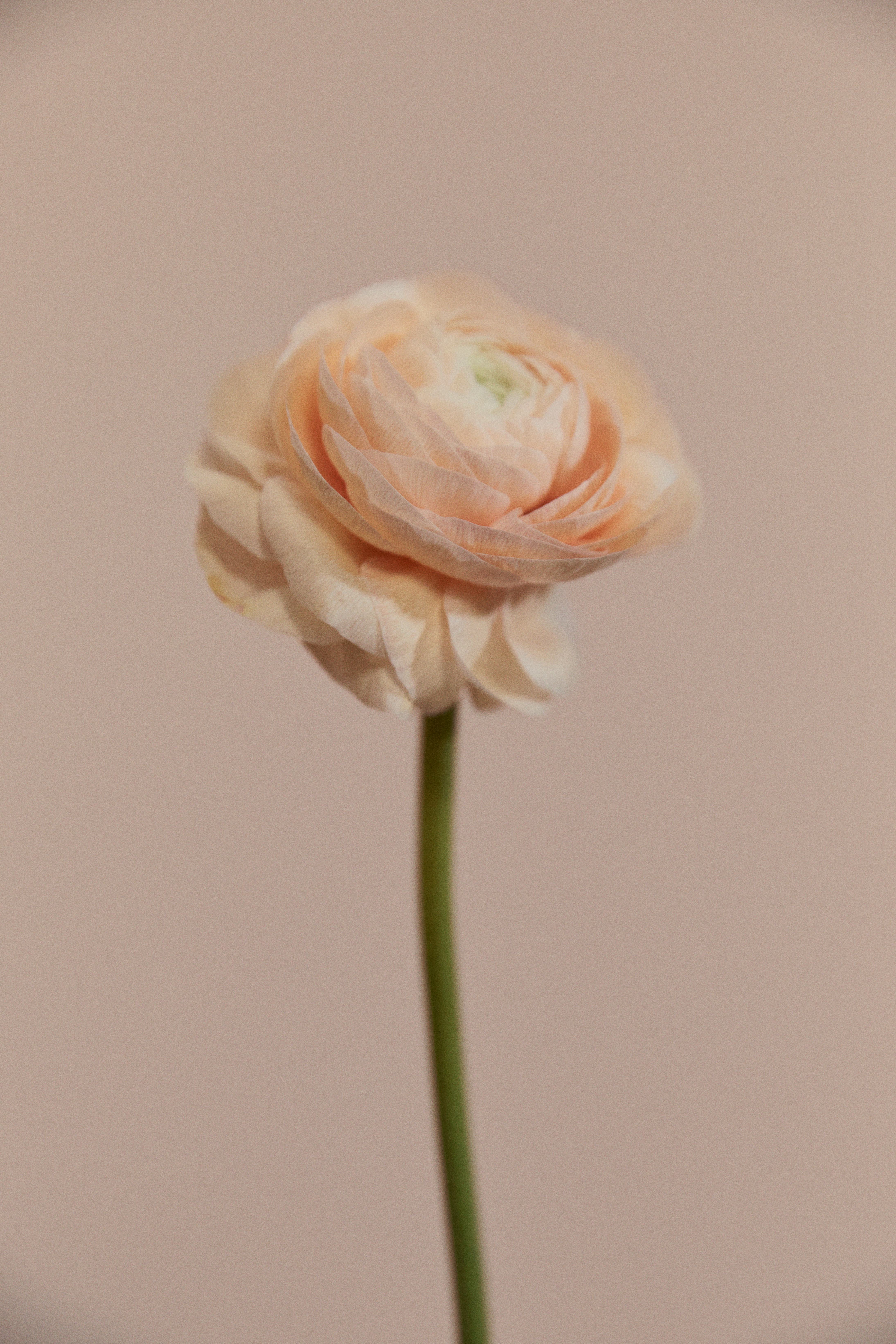 Spring 2021's Floral Print Trend Makes Me Excited To Dress Up Again