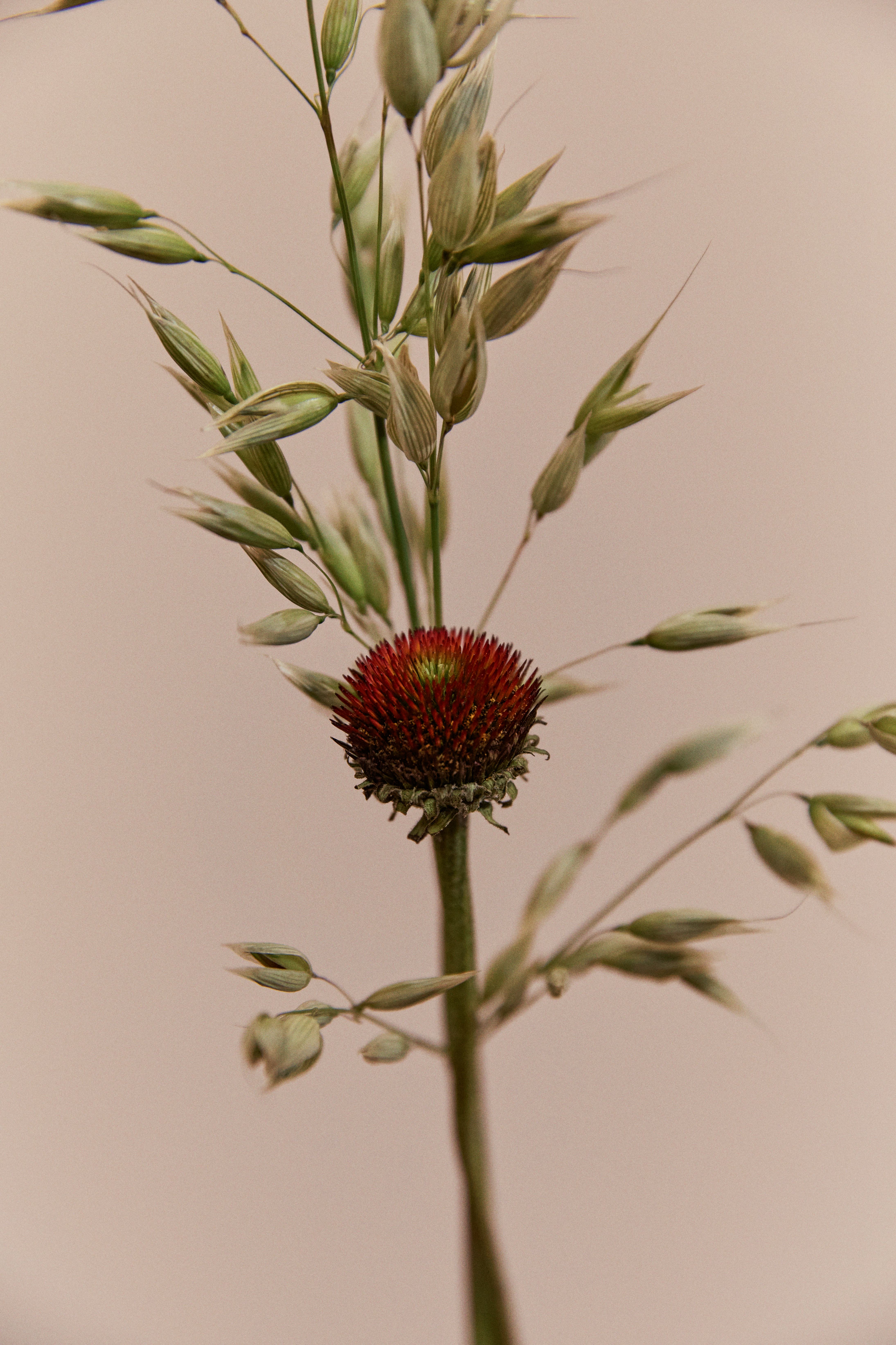 Spring 2021's Floral Print Trend Makes Me Excited To Dress Up Again