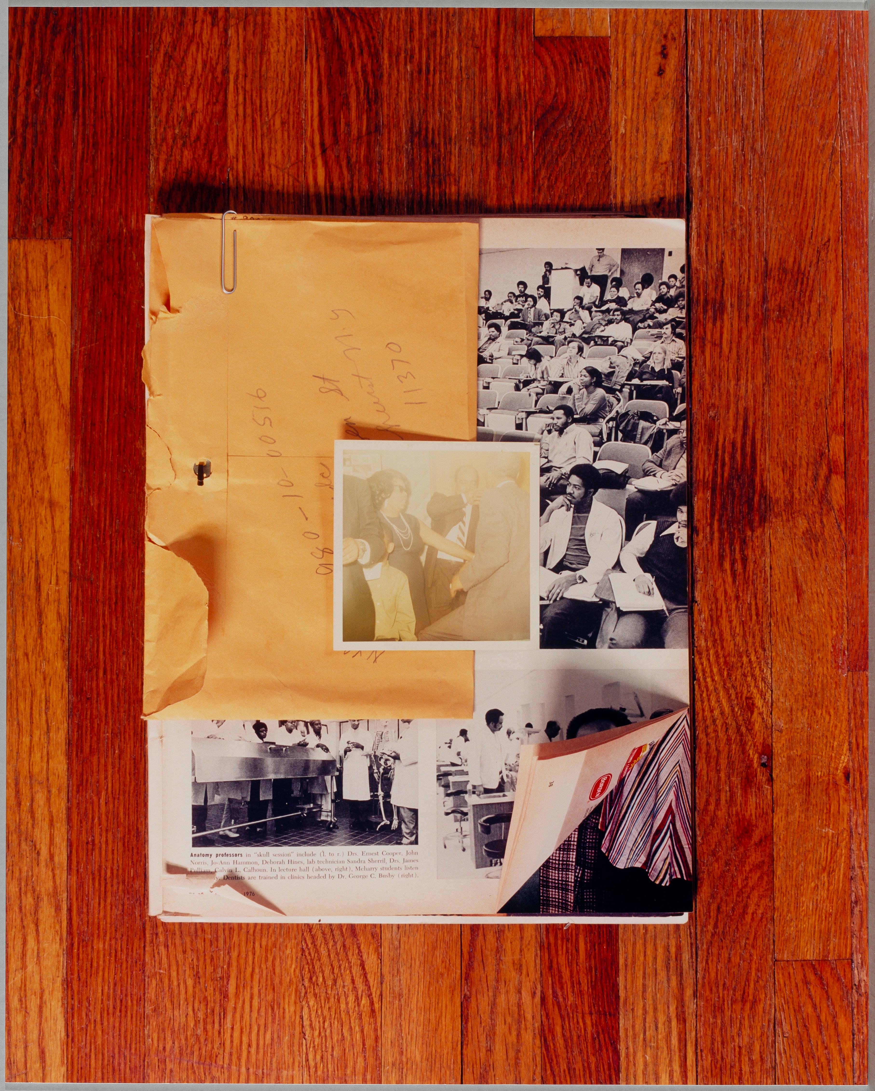 Guggenheim Curator Ashley James Lives For “Unanticipated Epiphanies”