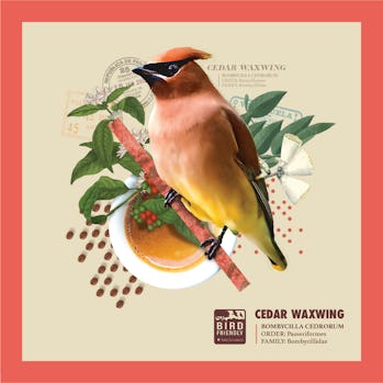 One change to your coffee routine could save a beloved animal ...