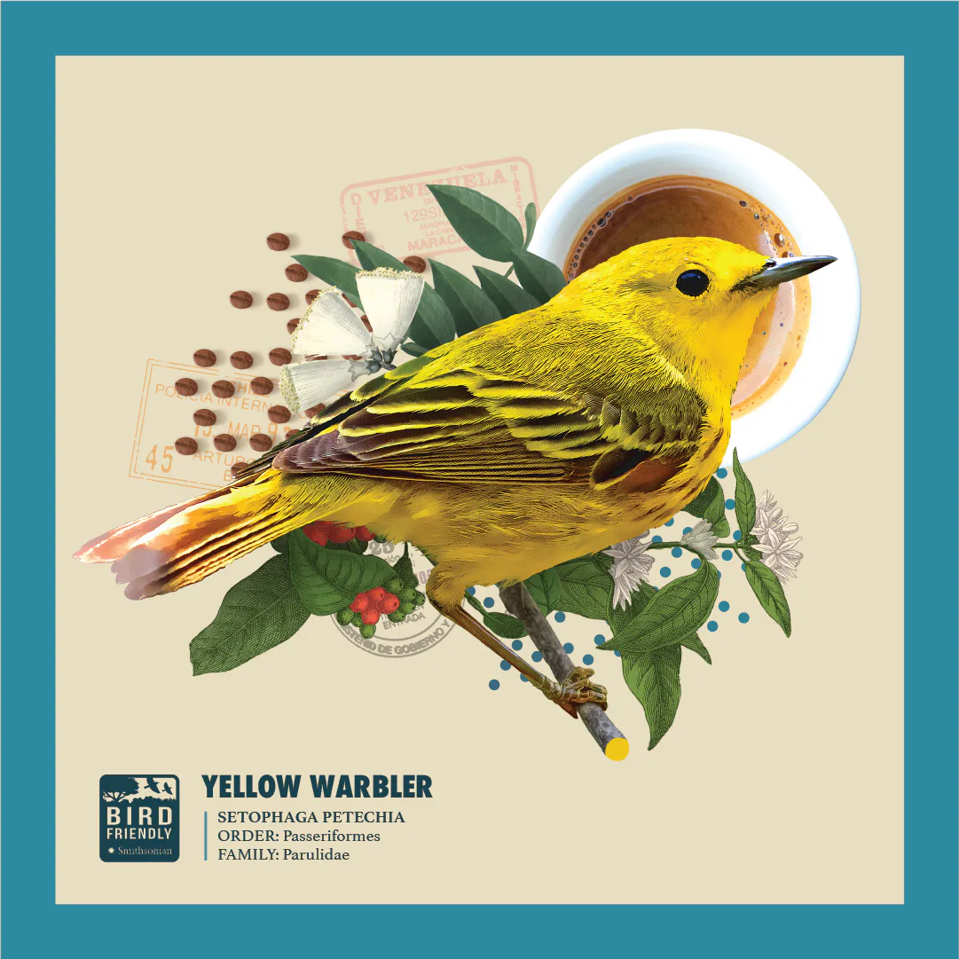 One change to your coffee routine could save a beloved animal ...
