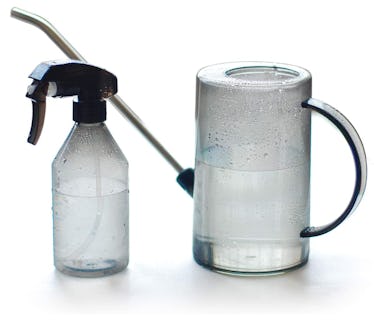 The 7 Best Watering Cans