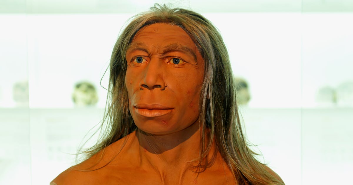 When did the last Neanderthal die? New study changes the timeline When did the last Neanderthal die? New study changes the timeline