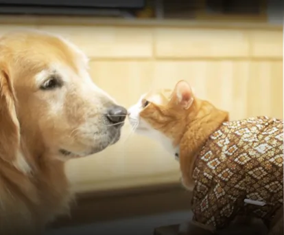 28 Best Animal Shows For Kids To Stream Right Now