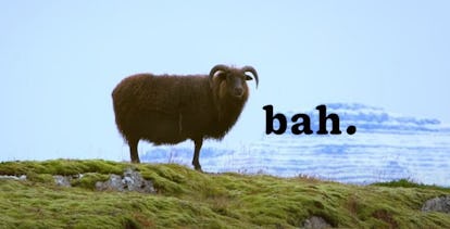 28 Best Animal Shows For Kids To Stream Right Now