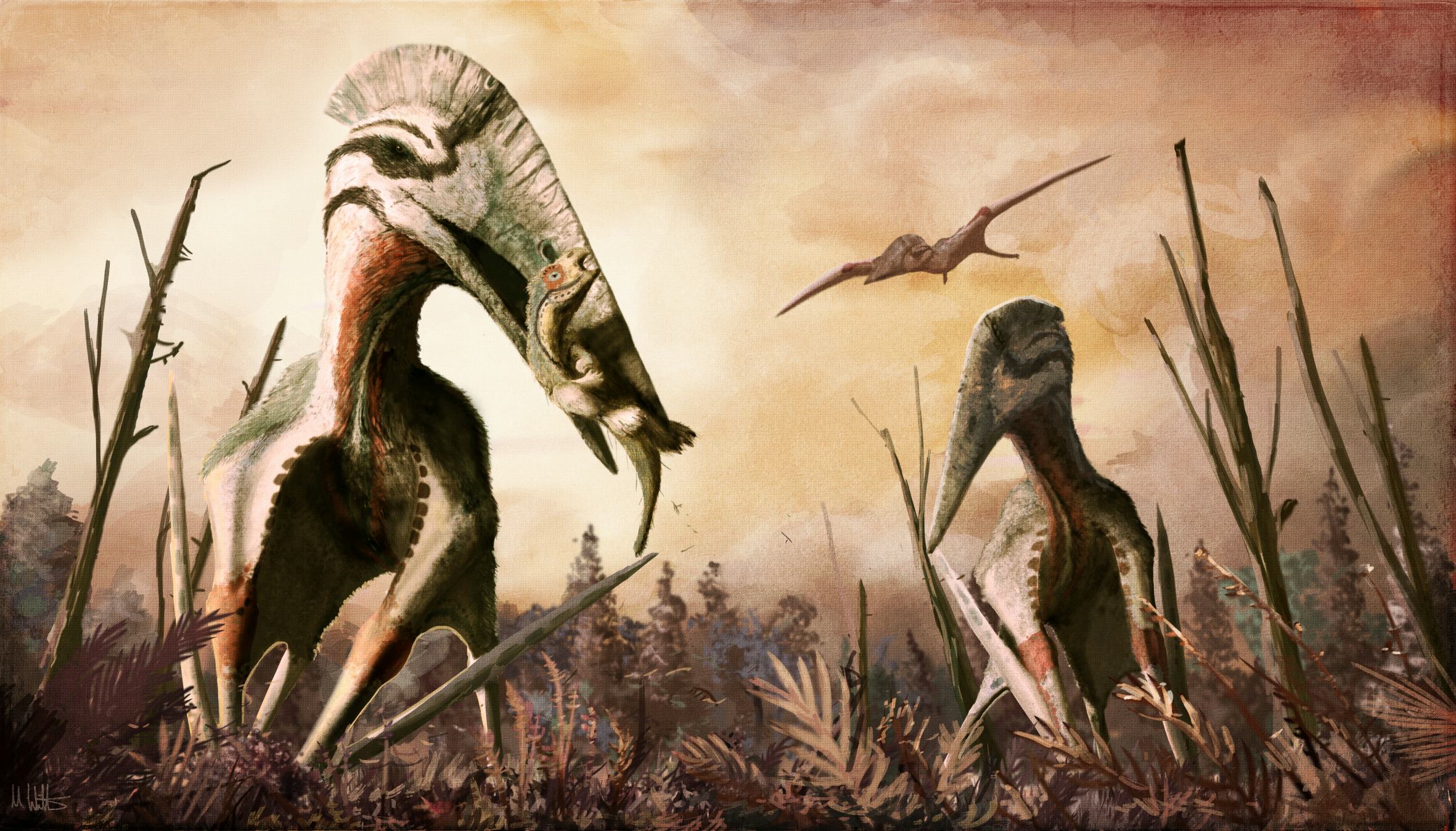 Look: Scientists discover secret to gigantic pterosaur flight