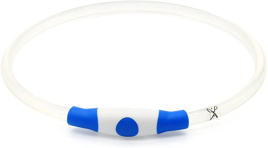 The 5 Best LED Dog Collars