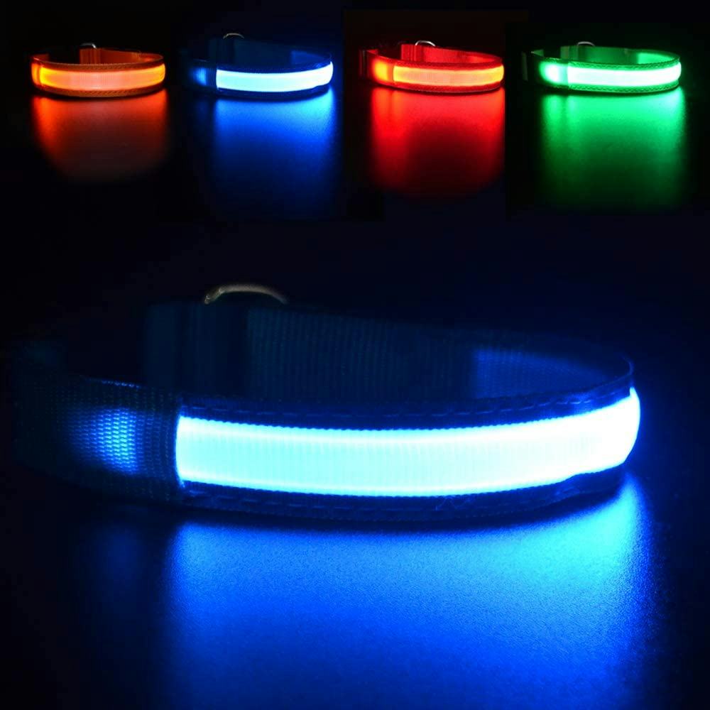 The 5 Best LED Dog Collars