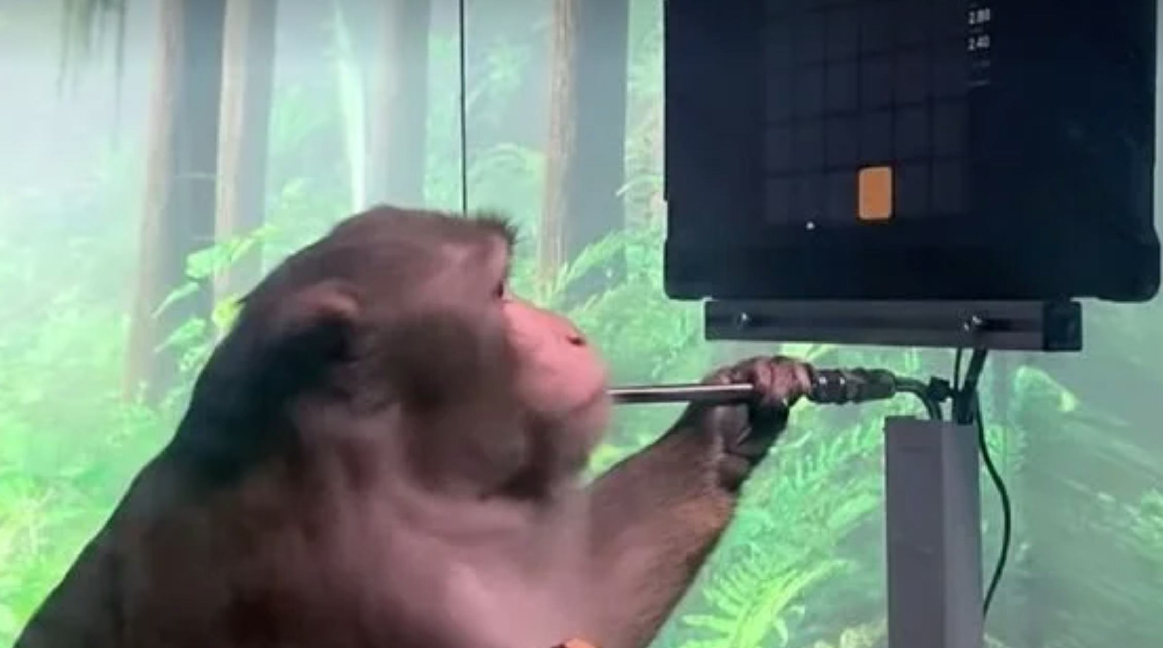 Is Neuralink's monkey Pong video the future? Or something else?