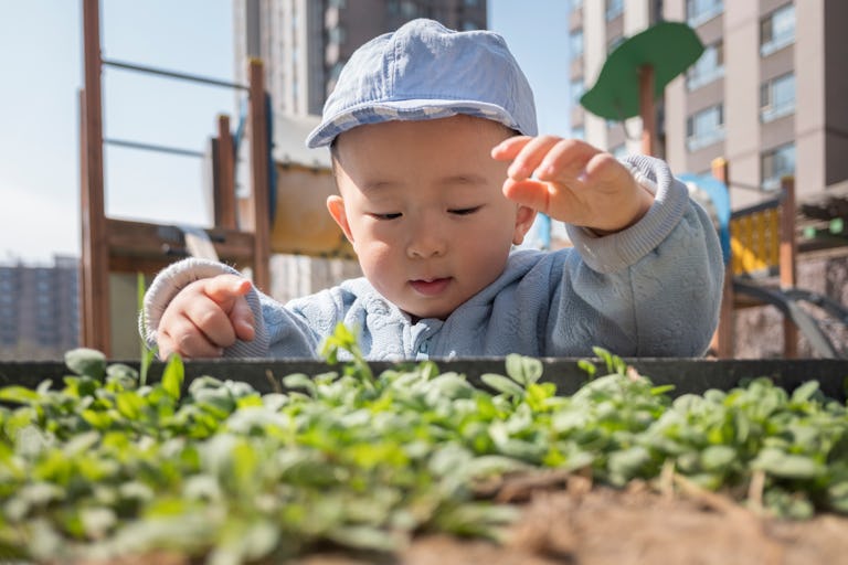 9 Fun Things To Know About Your Taurus Baby