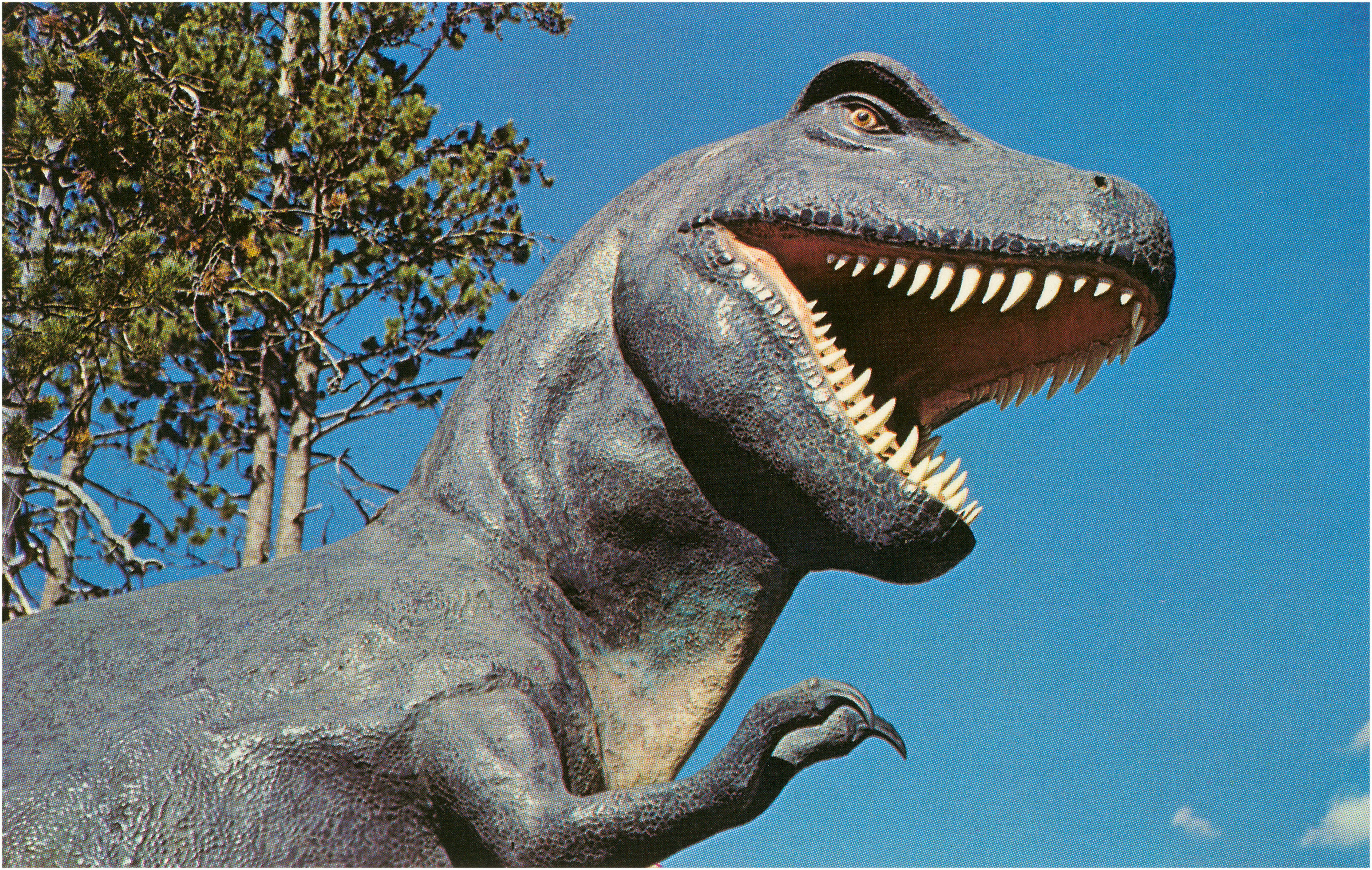 How many T. rexes ever lived? If you think a billion, go higher