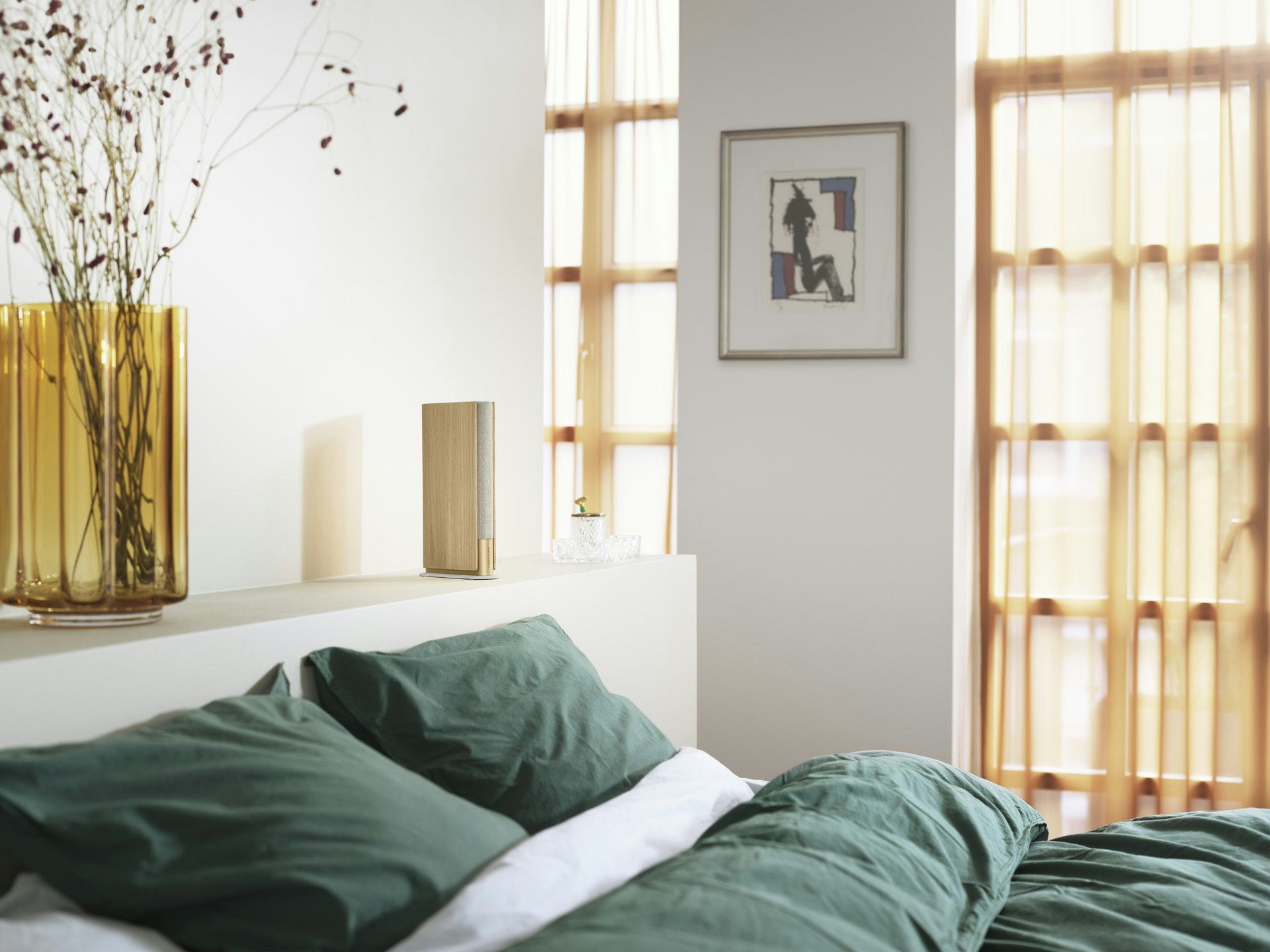 This speaker from Bang & Olufsen melts right into your bookcase