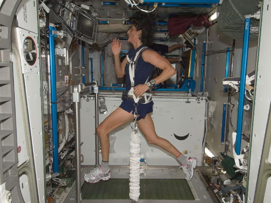 SpaceX: Will you need to exercise like an astronaut on a space tourism ...