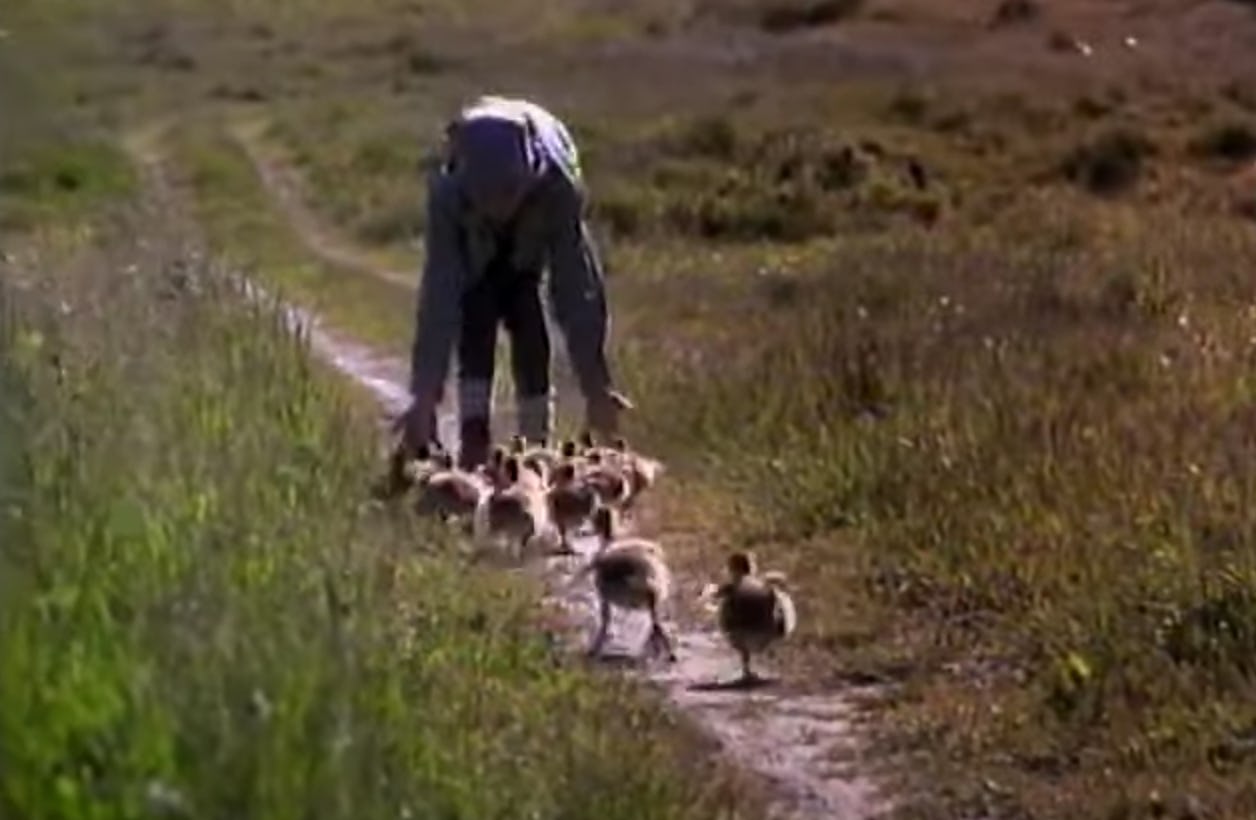 20 Family-Friendly Movies About Nature