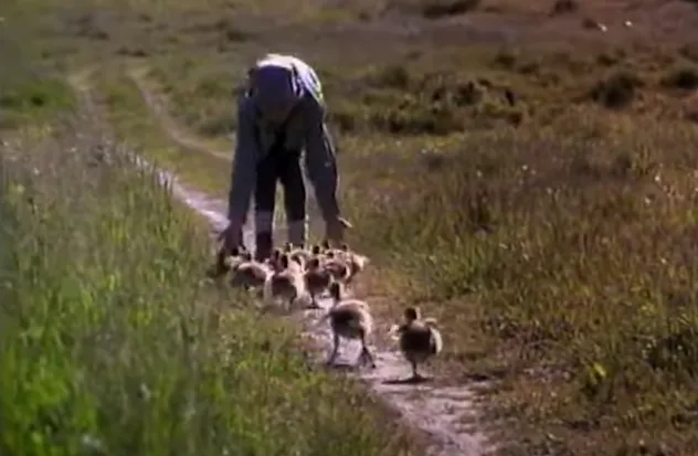 20 Family-Friendly Movies About Nature