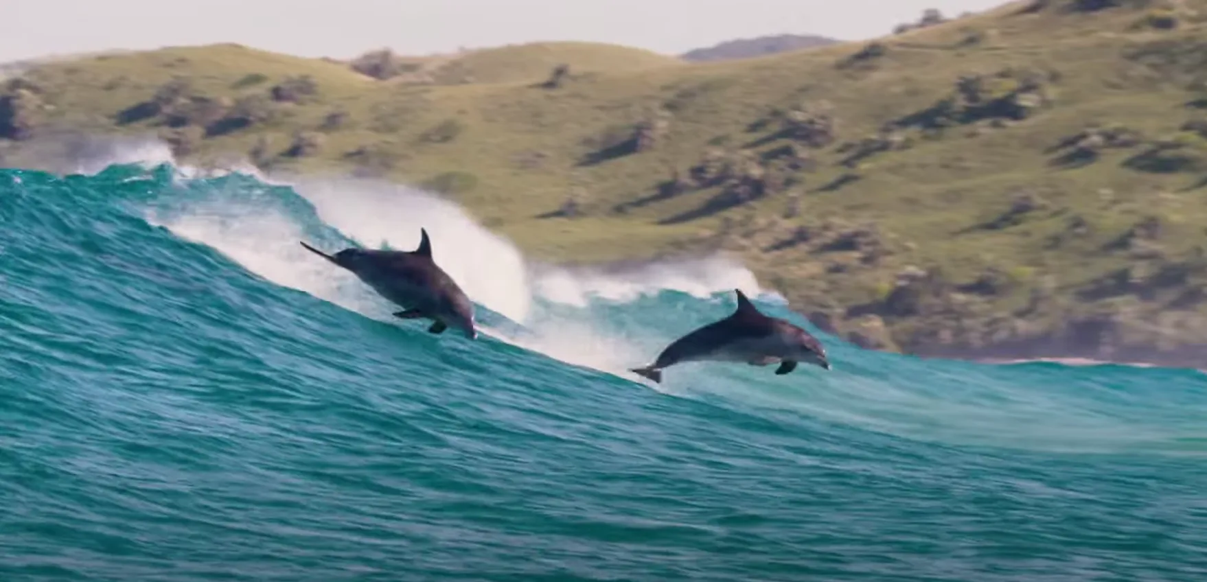 20 Family-Friendly Movies About Nature