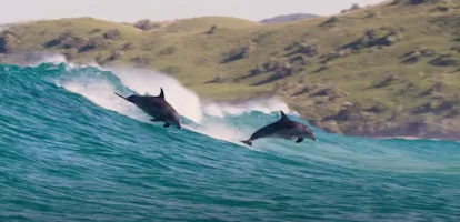 20 Family-Friendly Movies About Nature