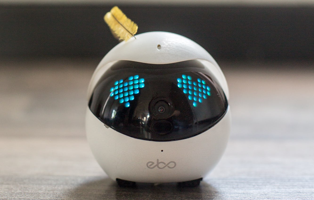 Ebo Pro review: My cat fell in love with this surprisingly delightful ...