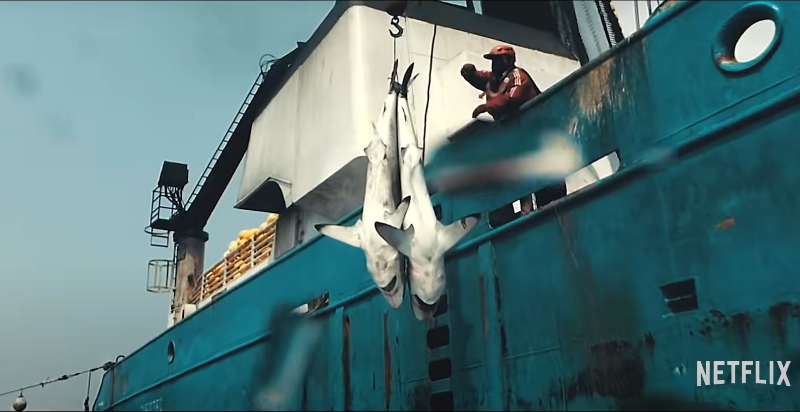 'Seaspiracy' fact check: An expert debunks the controversial Netflix doc