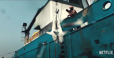 'Seaspiracy' fact check: An expert debunks the controversial Netflix doc