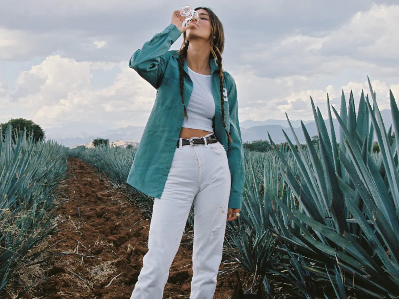 Everything You Need To Know About Kendall Jenner's 818 Tequila