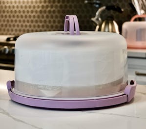 The 5 Best Cake Carriers