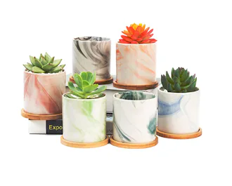 45 Cute, Cheap Things You Didn't Realize You Needed From Amazon