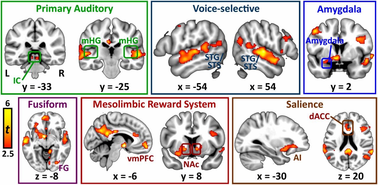 5 ways moms influence our brains, attitudes, and resilience