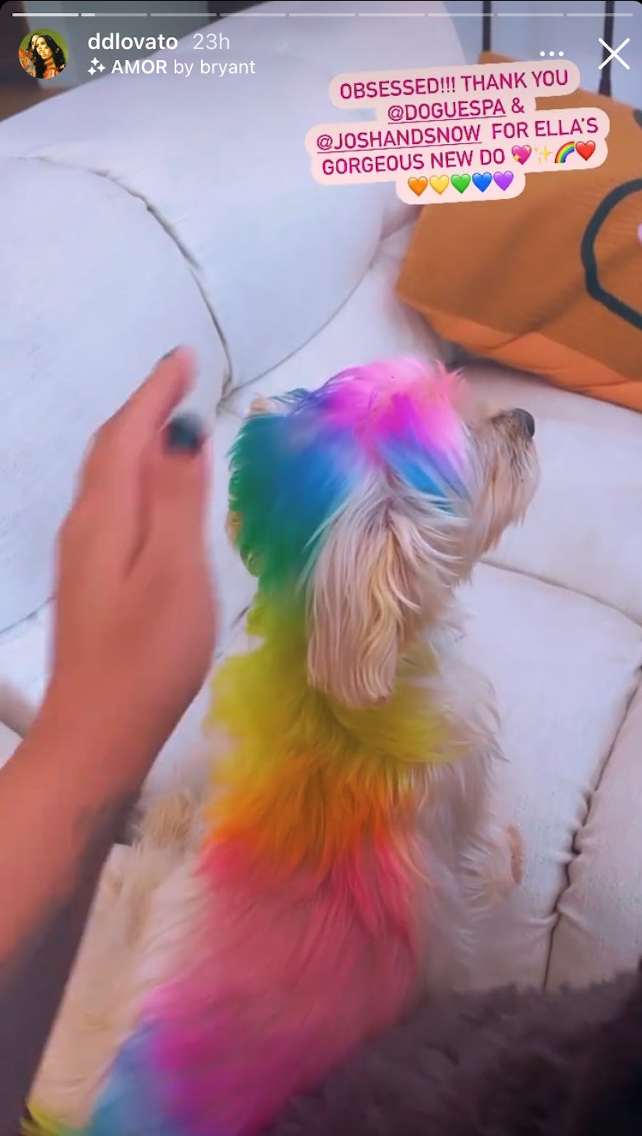 Demi Lovato Dyed Their Dog's Fur To Celebrate LGBTQ+ Pride Month Demi Lovato Dyed Their Dog's Fur To Celebrate LGBTQ+ Pride Month