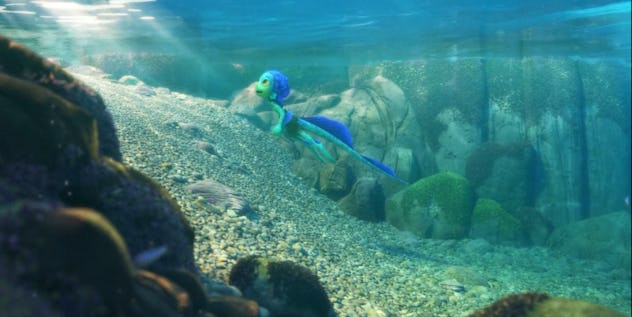 30 Ocean Movies For Kids To Stream